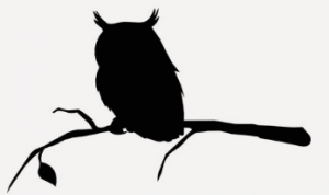Night Owls and Their Fascinating Connection to Astrological Signs